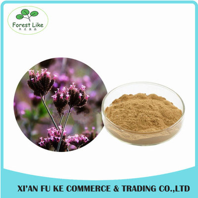 Competitive Price Natural Chinese Herb European Verbena Extract /Blue Vervain supplier