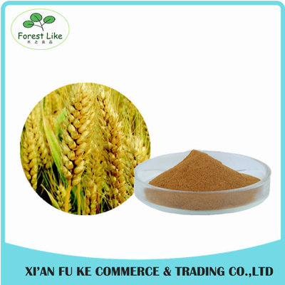 Barley Malt Extract Powder Hordenine 98% supplier