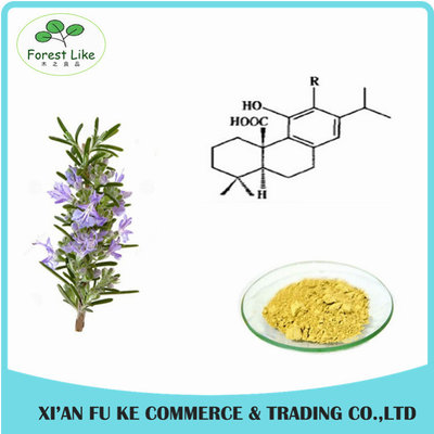 Rosemary Leaf Extract Carnosic Acid / Rosmarinic Acid Powder supplier