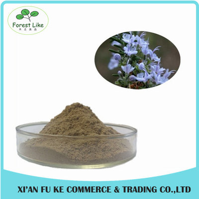 Rosemary Leaf Extract Carnosic Acid / Rosmarinic Acid Powder supplier