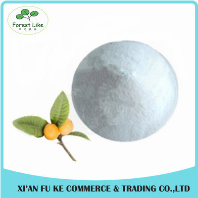 Free Sample Loquat Leaf Extract Ursolic Acid 90 % supplier