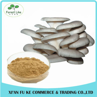 Anti-cancer Plant China Export Fresh Oyster Mushroom Extract supplier