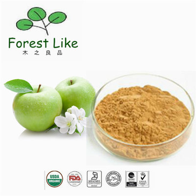 Prevent Vitamin Loss Apple Extract Apple Polyphenols Powder supplier