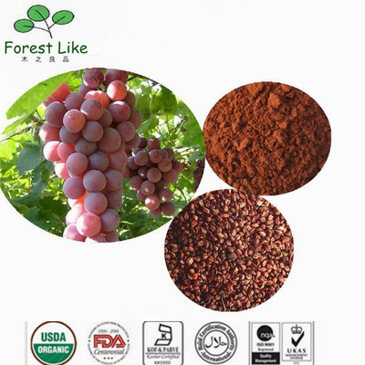Grape Seed Extract OPC 95 % 98 % Polyphenol 20%-80% supplier