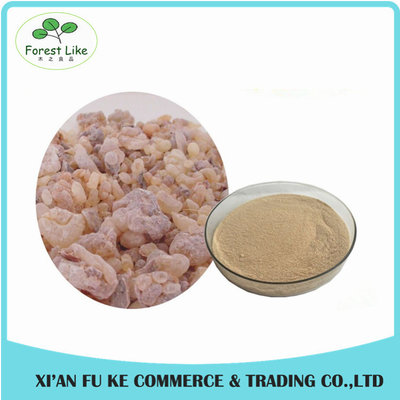 Mastic Gum Powder Olibanum /Frankincense Extract Boswellic Acid 65% supplier
