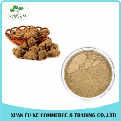 Chinese Herbal Medicine Ophiopogon Japonicus Extract Powder 5:1 - 20:1 supplier