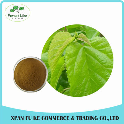 High Quality Mulberry Leaf Extract Powder/Natural Mulberry Extract 1% 1-Deoxynojirimycin(1-DNJ) supplier