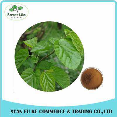 High Quality Mulberry Leaf Extract Powder/Natural Mulberry Extract 1% 1-Deoxynojirimycin(1-DNJ) supplier
