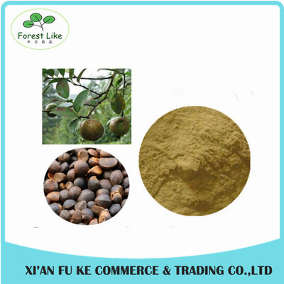 50 % - 98 % Tea Saponins Camellia Oleifera Seed Extract supplier
