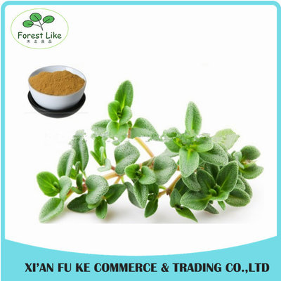New Design Spices Product Antibacterial Effect Dry Thyme Leaf Extract supplier
