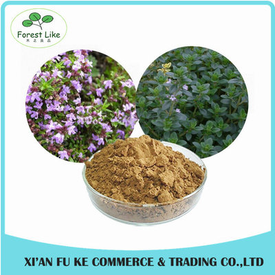 New Design Spices Product Antibacterial Effect Dry Thyme Leaf Extract supplier