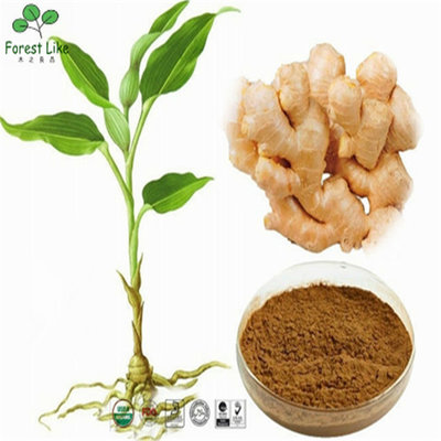 Natural Colorant Ginger Extract Powder 10% 20% 95% 98% Curcumin supplier