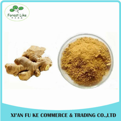 100% Natural Yellow Ginger Extract Powder 10 :1 supplier