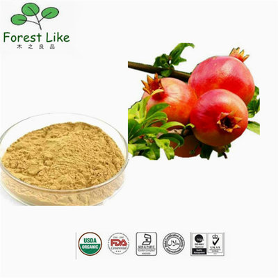 Ellagic Acid / Gallogen 40 % - 90 % Pomegranate Peel Extract supplier