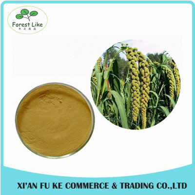 100% Pure Natural Non GMO Kosher Halal Certified 10:1 Purple Corn Seed Extract Powder supplier