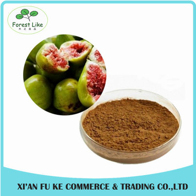 Fig Extract Powder/ Fig Extract for Herbal Medicine supplier