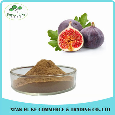 Fig Extract Powder/ Fig Extract for Herbal Medicine supplier