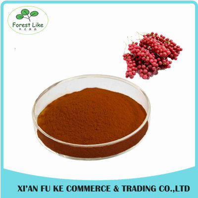 High Purity Pharmaceutical Organic Schisandra Extract Gallic Acid supplier