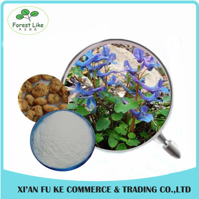 Chinese Herbal Medicine Tetrahydropalmatine Powder Corydalis Tuber Extract supplier