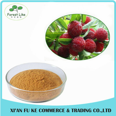Hot Sale Plant Extract Red Bayberry Bark Extract supplier