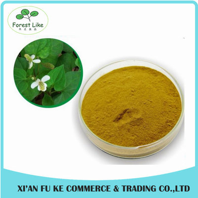 Chinese Herb Extract Manual Cultivation Herba Houttuyniae Extract supplier