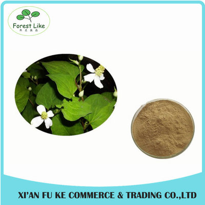 Chinese Herb Extract Manual Cultivation Herba Houttuyniae Extract supplier