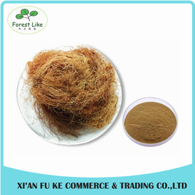 Manufacturer Direct Price Organic Corn Stigma Extract supplier