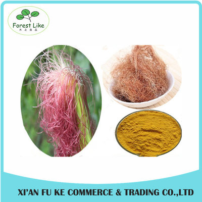 Manufacturer Direct Price Organic Corn Stigma Extract supplier