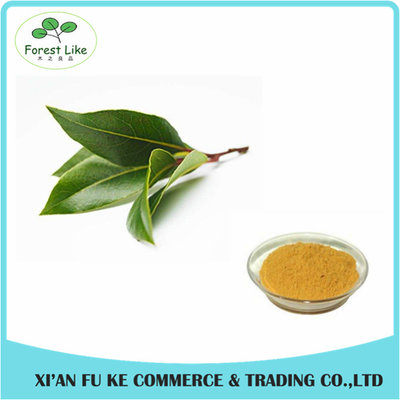 Zero Profit Pure Fine Skin Care Bay Leaf Extract supplier