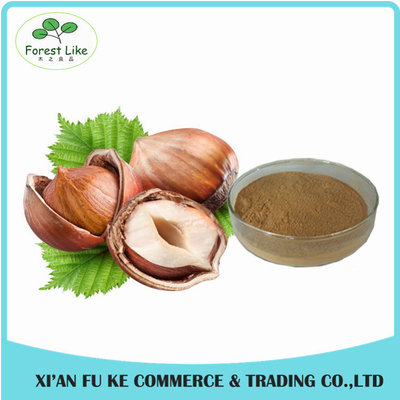 Anti-oxident Product Hazelnut Extract Powder 5:1 - 20:1 supplier