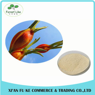 Reliable Manufacturer Supply Hot Products for Gardenia Jasminoides Ellis supplier