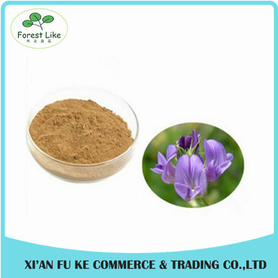 Natural Herb Extract Alfalfa Extract / Lucerne P.E. supplier