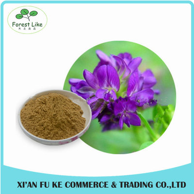 Natural Herb Extract Alfalfa Extract / Lucerne P.E. supplier