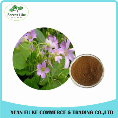 Natural Herb Extract Alfalfa Extract / Lucerne P.E. supplier