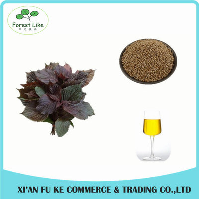 Wholesale Chinese Traditional Herbal Extract Perilla Fretescens Oil Extraction supplier