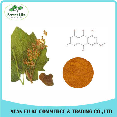 Traditional Chinese Herb Medicine Anti-tumor Product Dried Rhubarb Extract supplier