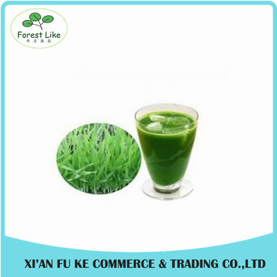 High Quality Green barley grass juice powder supplier