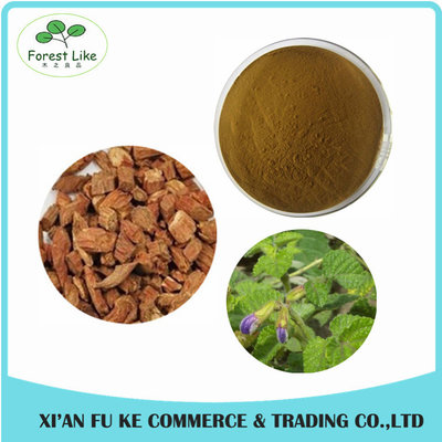 Strengthening Immune Systern and Fighting Cancer Plant Extract Red Ginseng Extract supplier