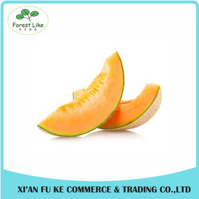 Top Quality Cantaloupe Fruit Extract Powder/Best Flavor Hami Melon Powder supplier