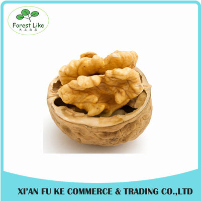 High Quality Walnut Kernel Extract Powder supplier
