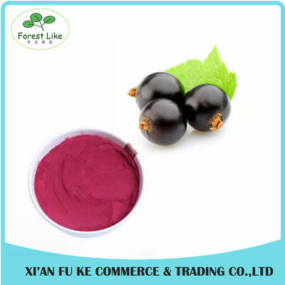 100% Natural Black Currant Fruit Powder supplier