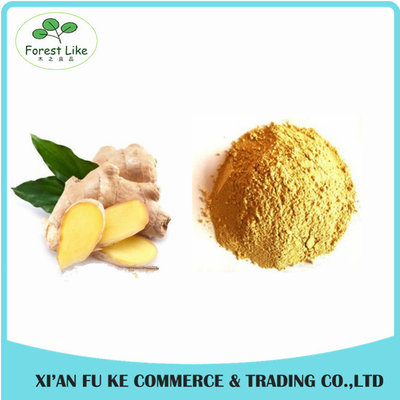 100% Natural Yellow Ginger Extract Powder 10 :1 supplier