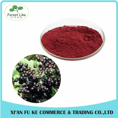 100% Natural Elderberry Extract Powder 10:1 20:1 supplier