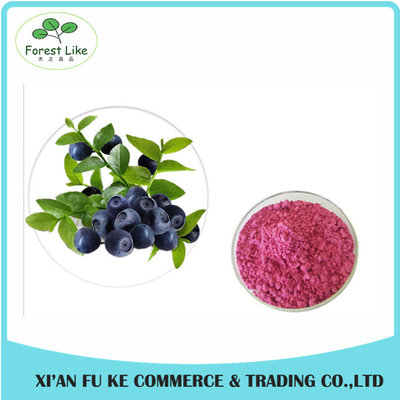 100% Natural Fruit Dried Blueberry Powder supplier