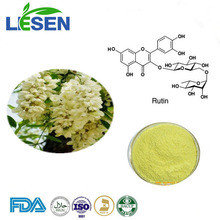 Plant Extract Rutin Powder Sophora Japonica Extract supplier
