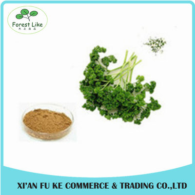 Parsley / die Peterselie / prezzemolo Extract Powder supplier