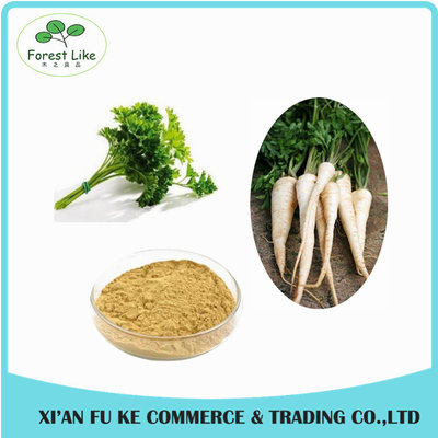 Parsley / die Peterselie / prezzemolo Extract Powder supplier