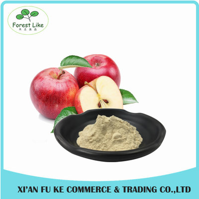 Prevent Vitamin Loss Apple Extract Apple Polyphenols Powder supplier