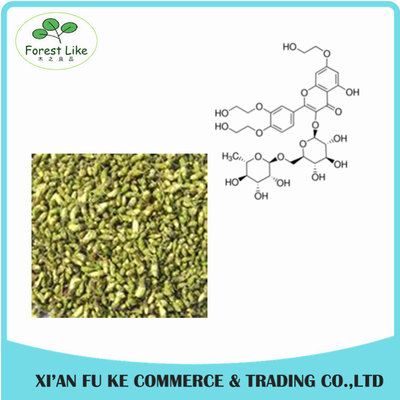 Rutin Extract Powder Sophora Japonica Extract 95% NF11 supplier