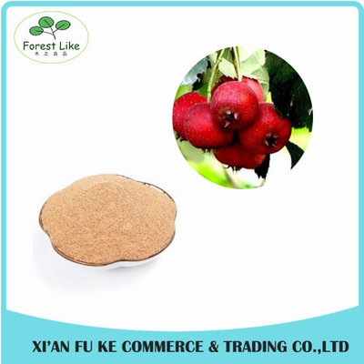 Natural Hawthorn Berry / Crataegus Fruit Powder supplier
